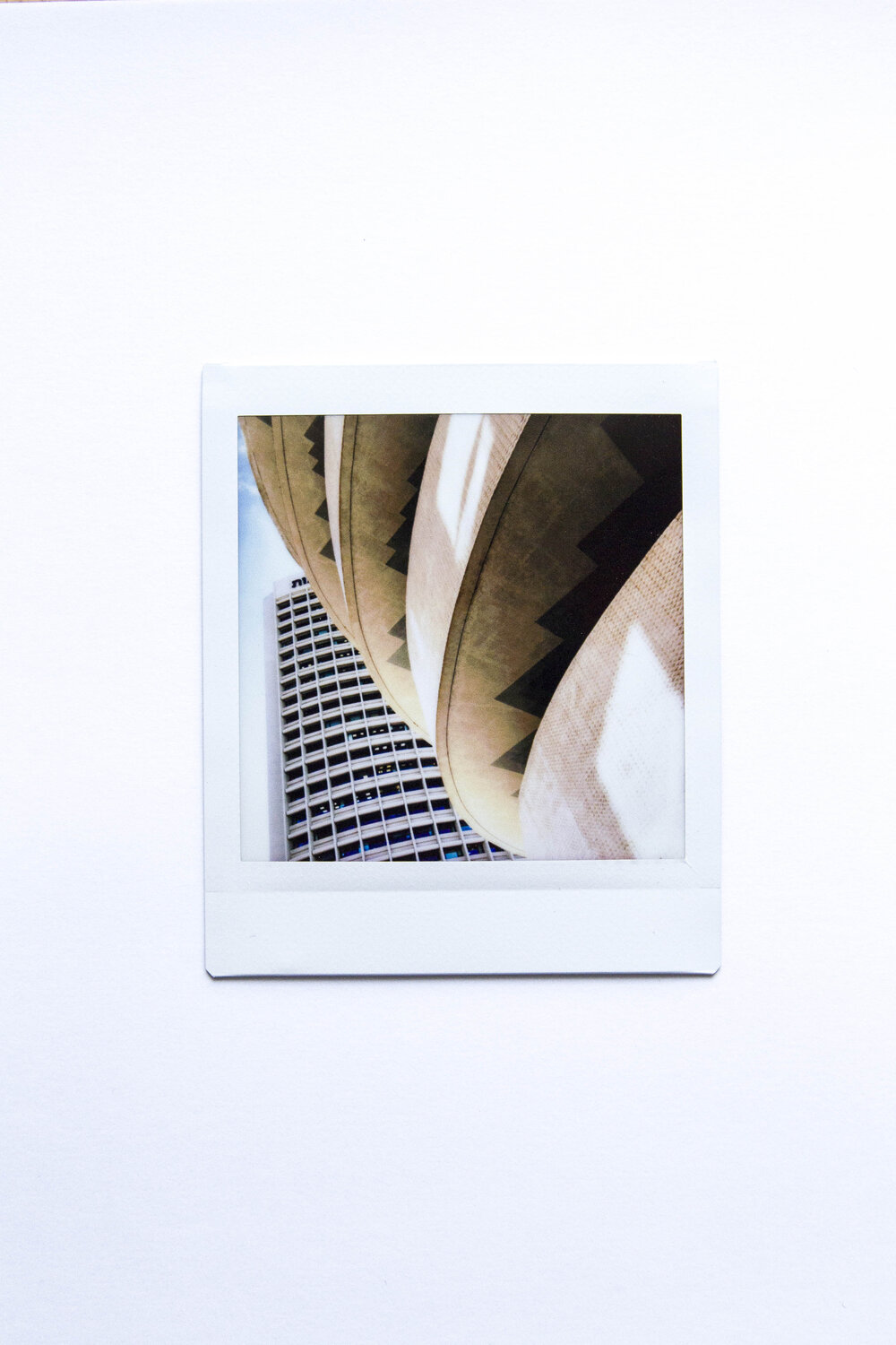 Violet Shoulders — Wasted Talent Magazine