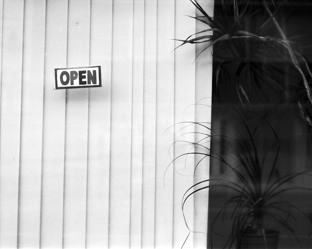 Violet Shoulders — Wasted Talent Magazine