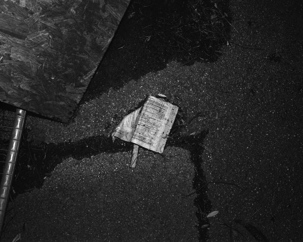 Violet Shoulders — Wasted Talent Magazine