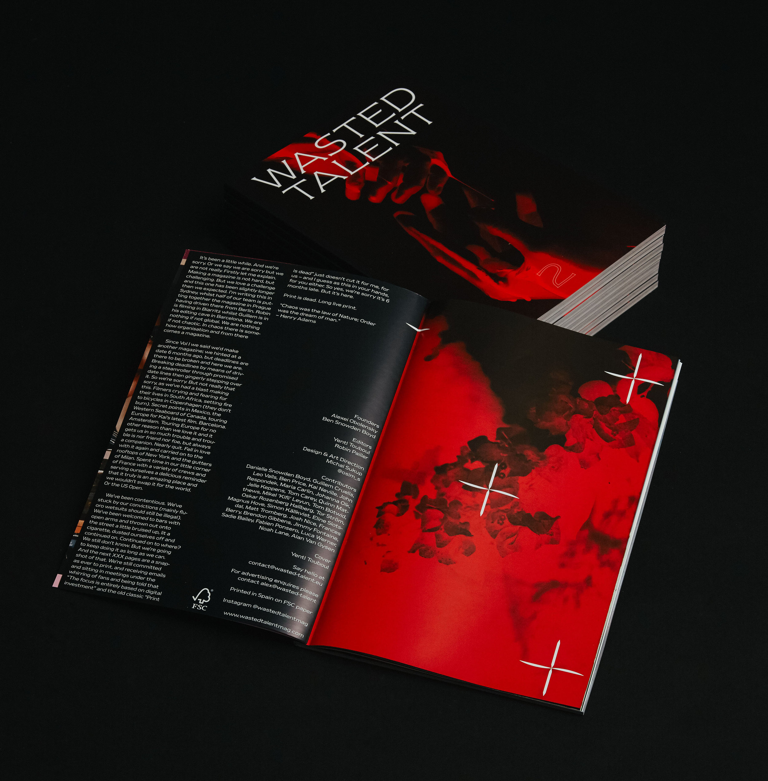 A YEAR IN REVIEW #8: VOLUME II — Wasted Talent Magazine