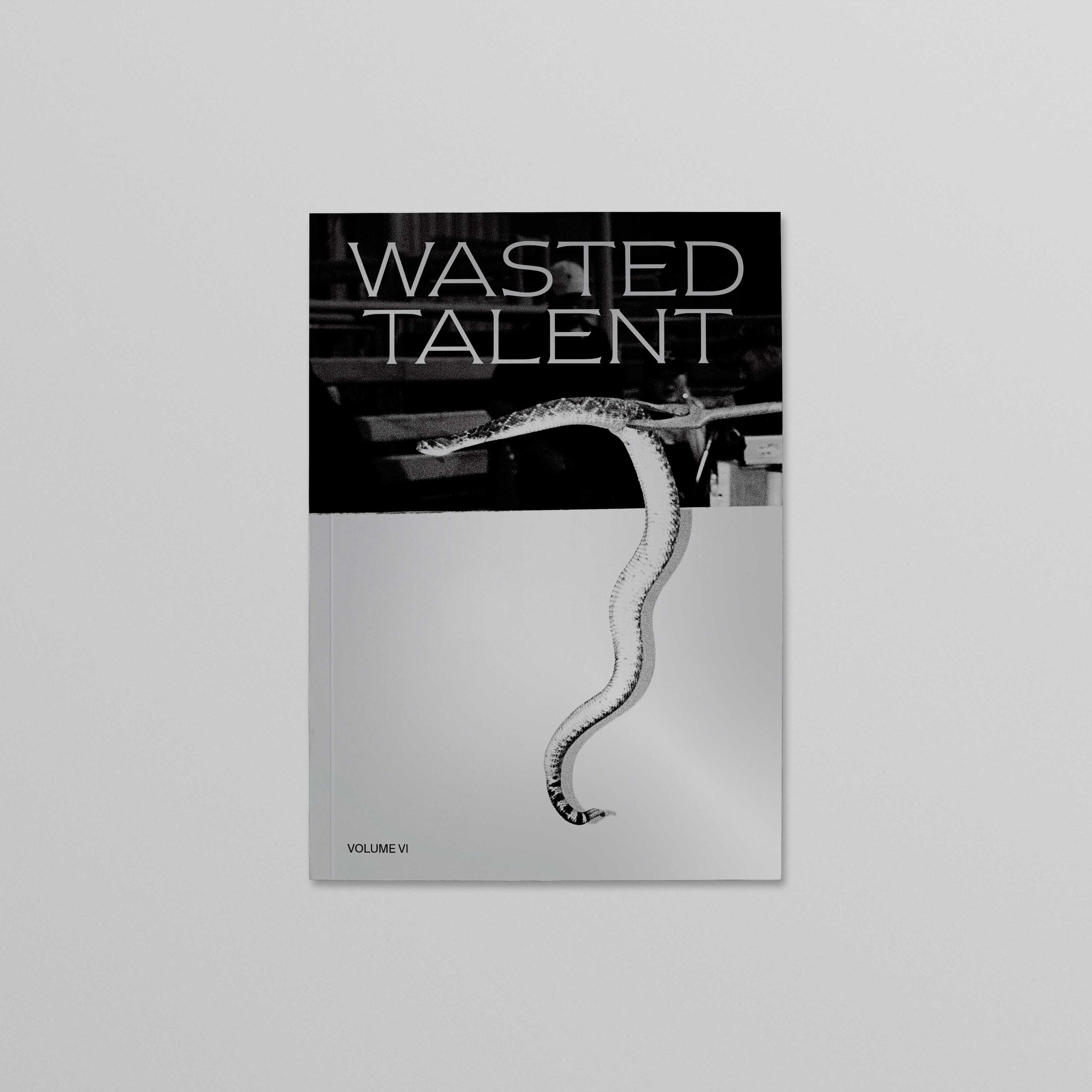 VOLUME VI — Wasted Talent Magazine