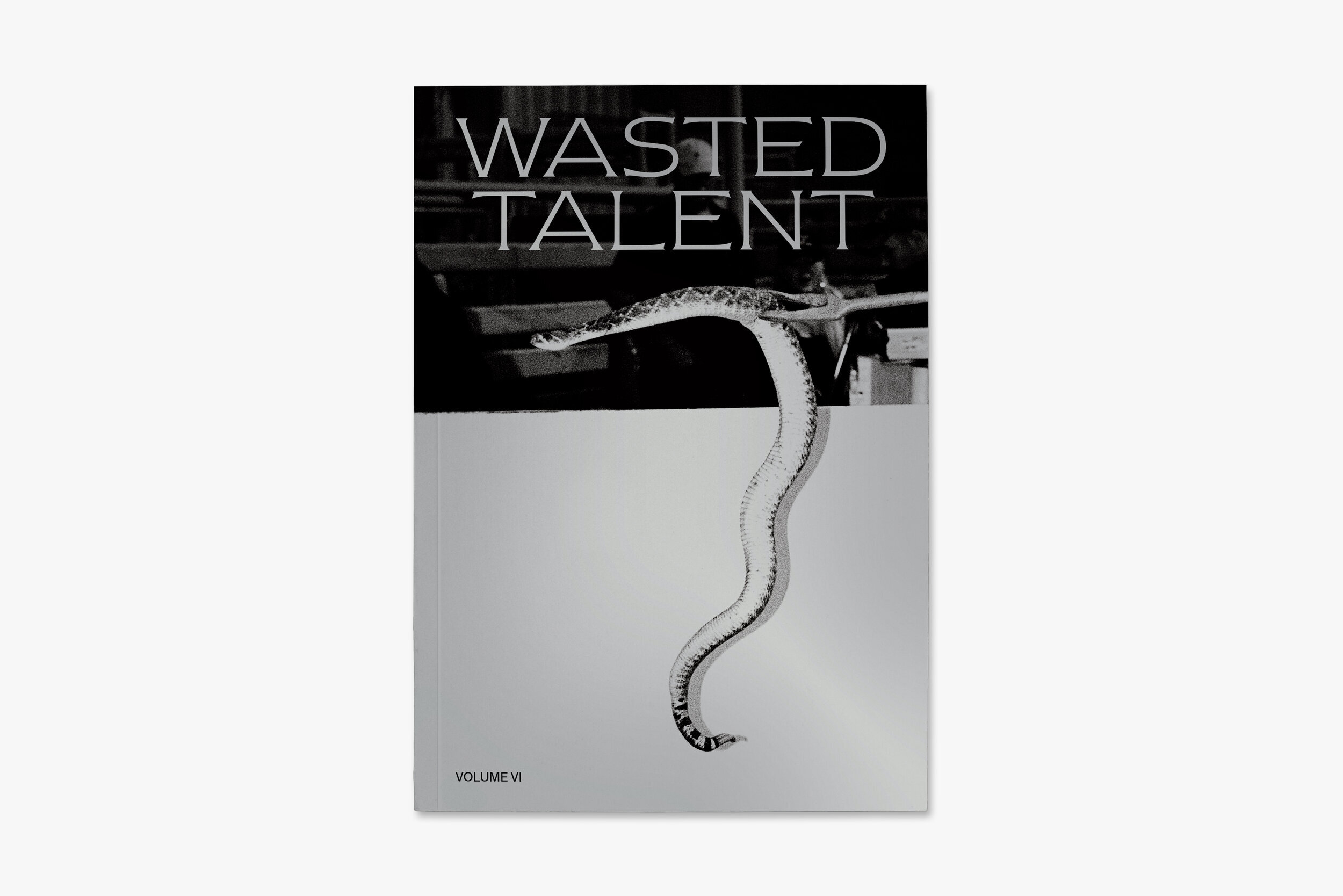 A YEAR IN REVIEW #5: VOLUME VI — Wasted Talent Magazine