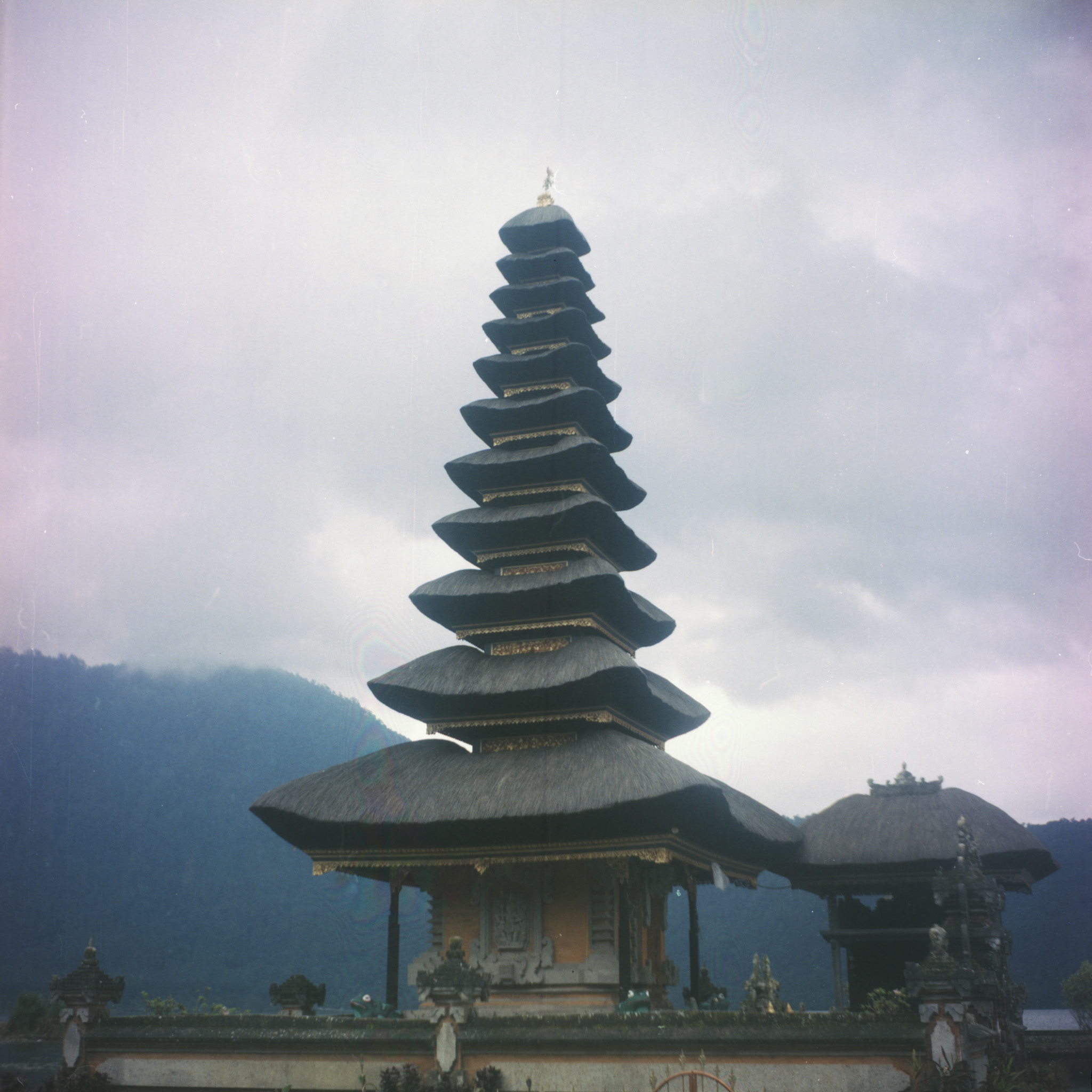 A Seagull in Asia — Wasted Talent Magazine