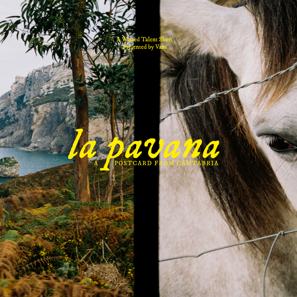 La Pavana — Wasted Talent Magazine