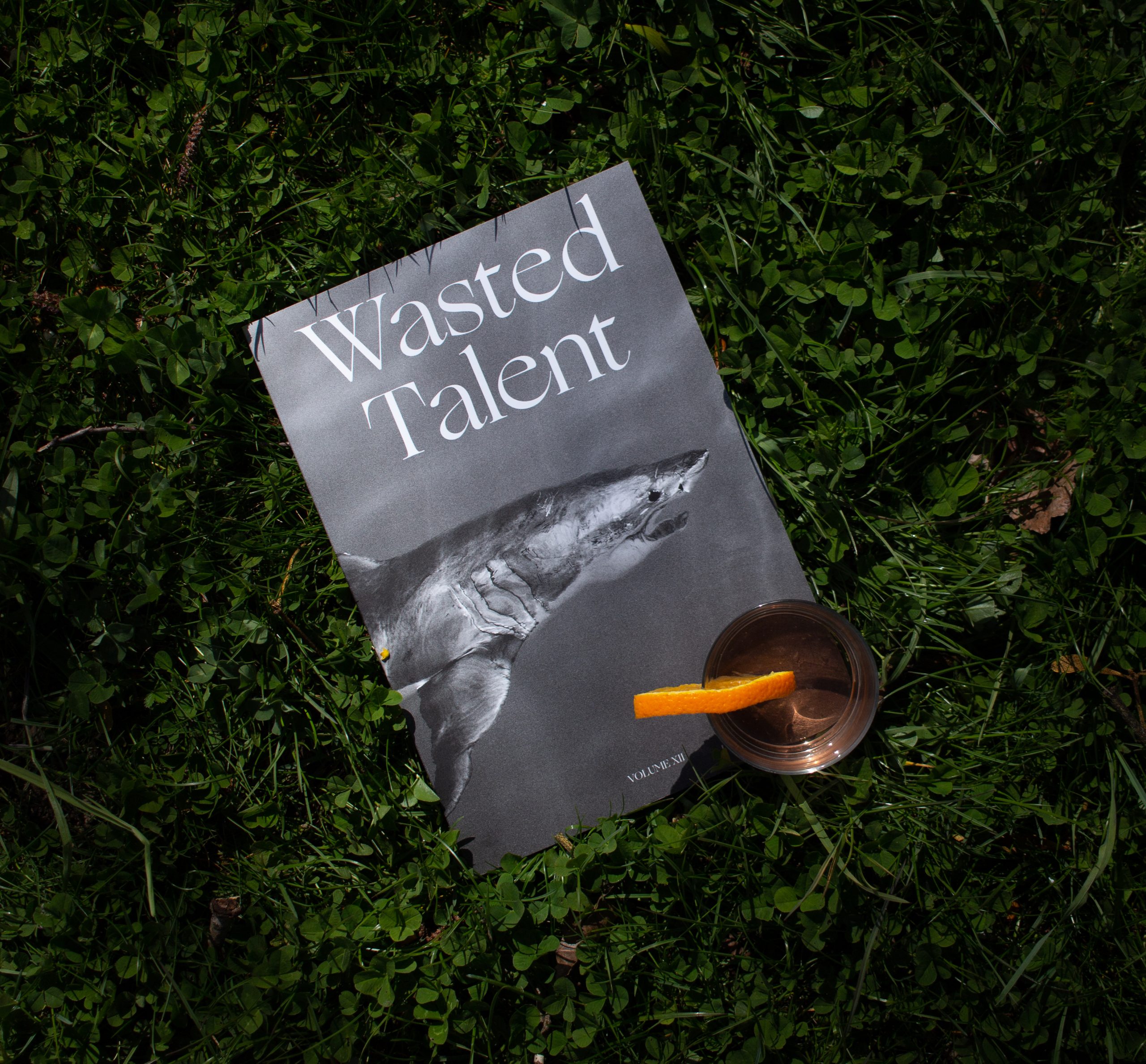 Volume XII — Wasted Talent Magazine