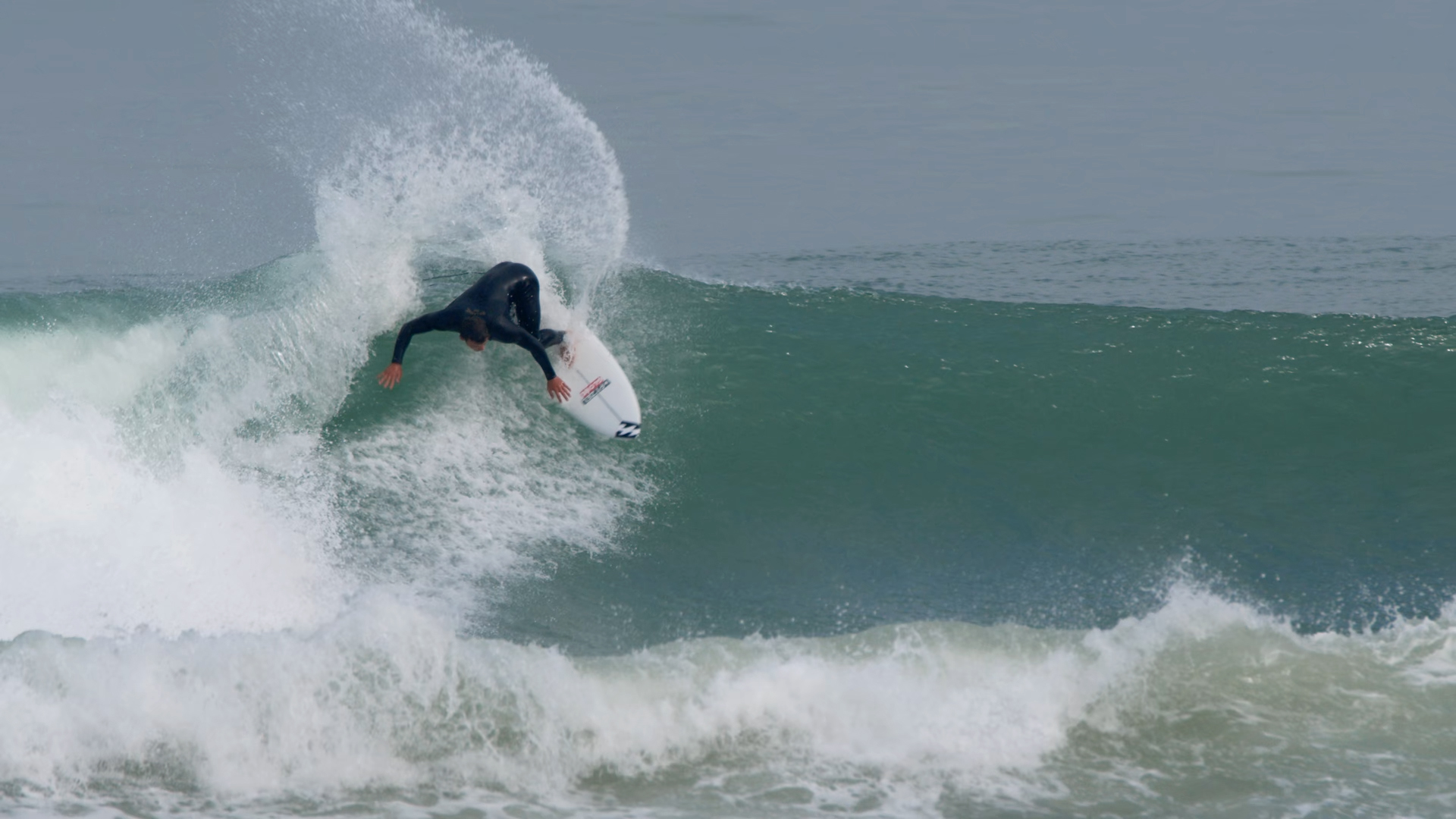 Did You Hear The Falling Rose? — Wasted Talent Magazine