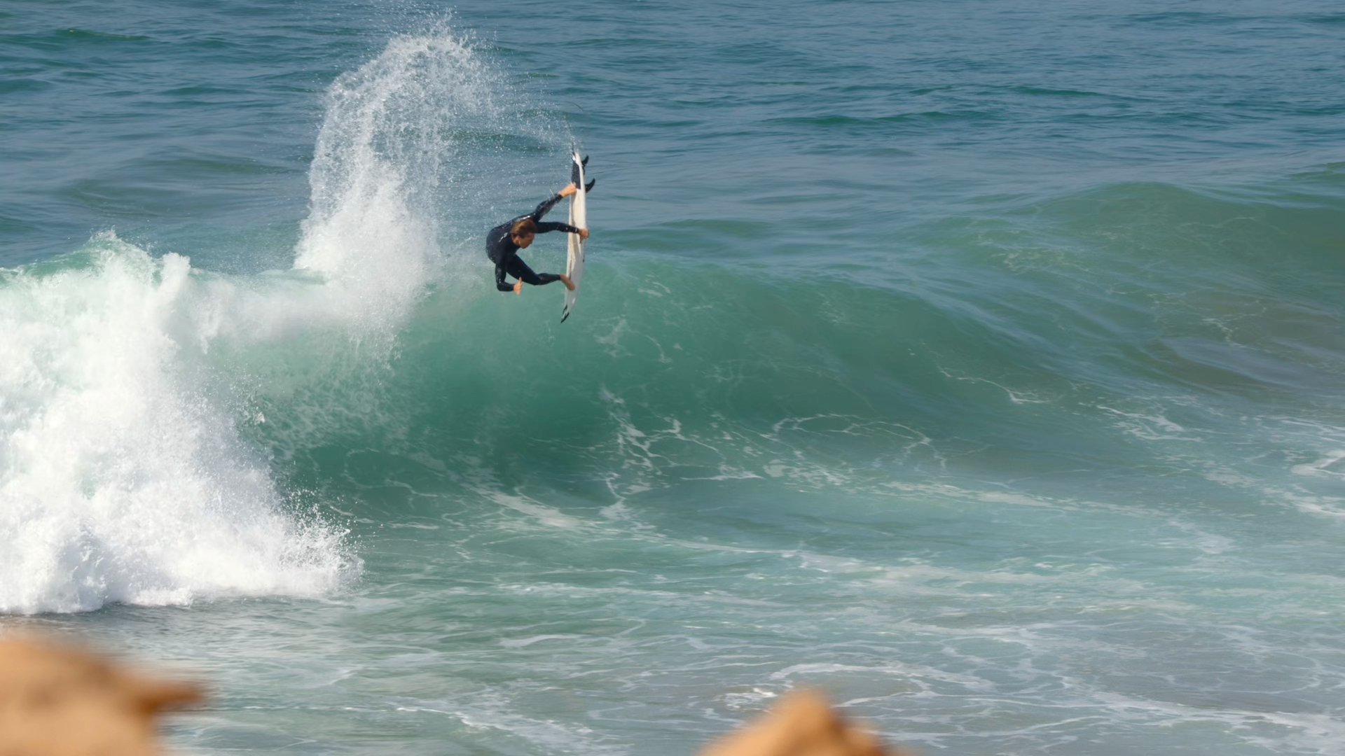 Did You Hear The Falling Rose? — Wasted Talent Magazine