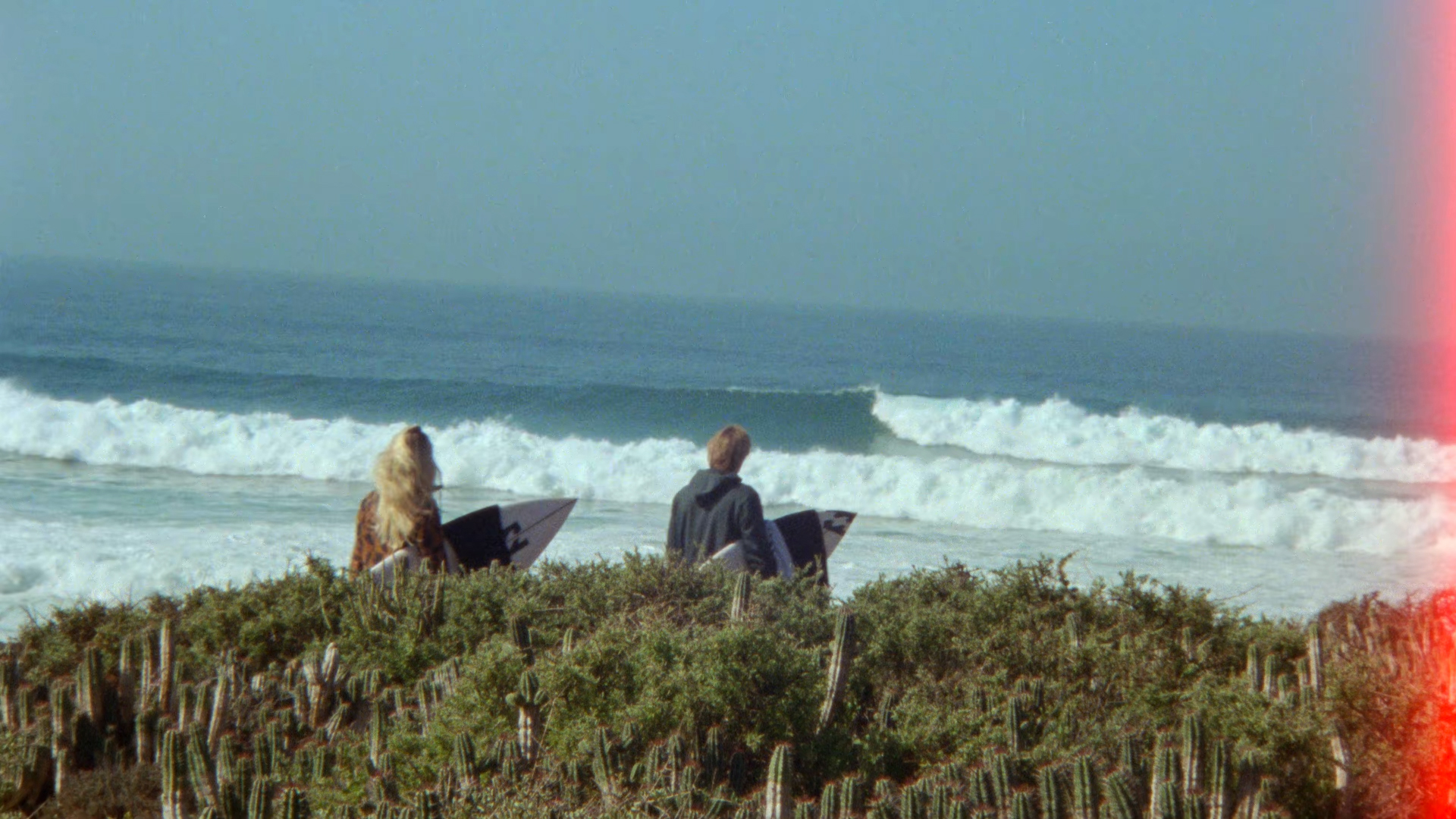 Did You Hear The Falling Rose? — Wasted Talent Magazine