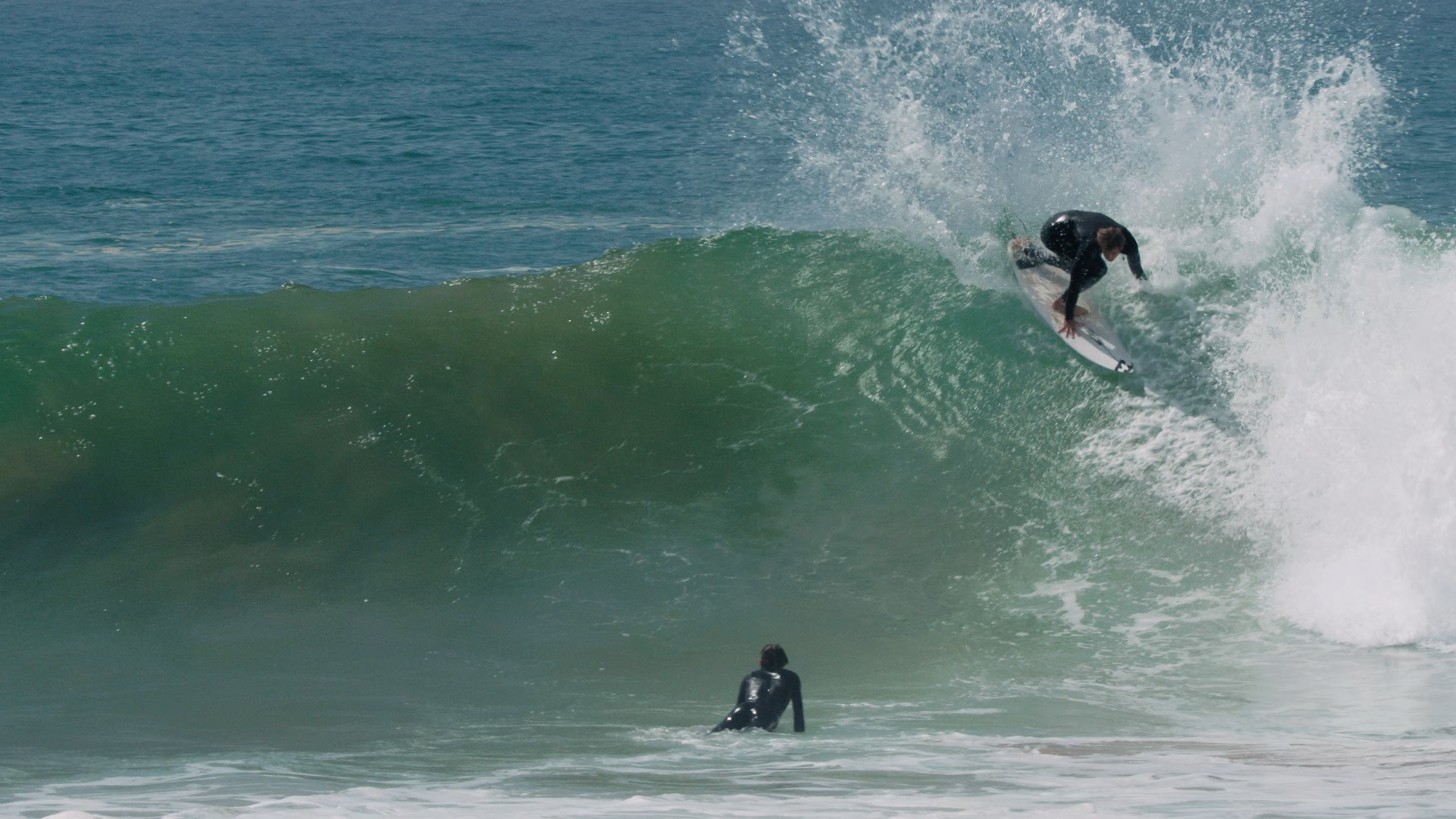 Did You Hear The Falling Rose? — Wasted Talent Magazine