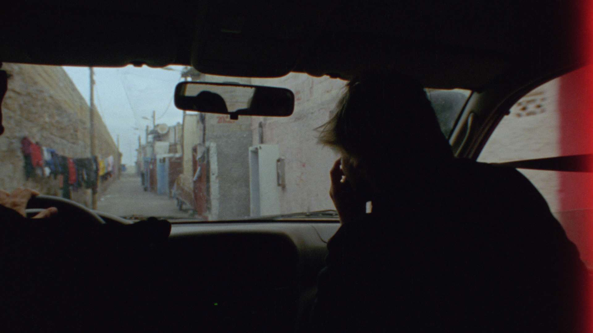 Did You Hear The Falling Rose? — Wasted Talent Magazine