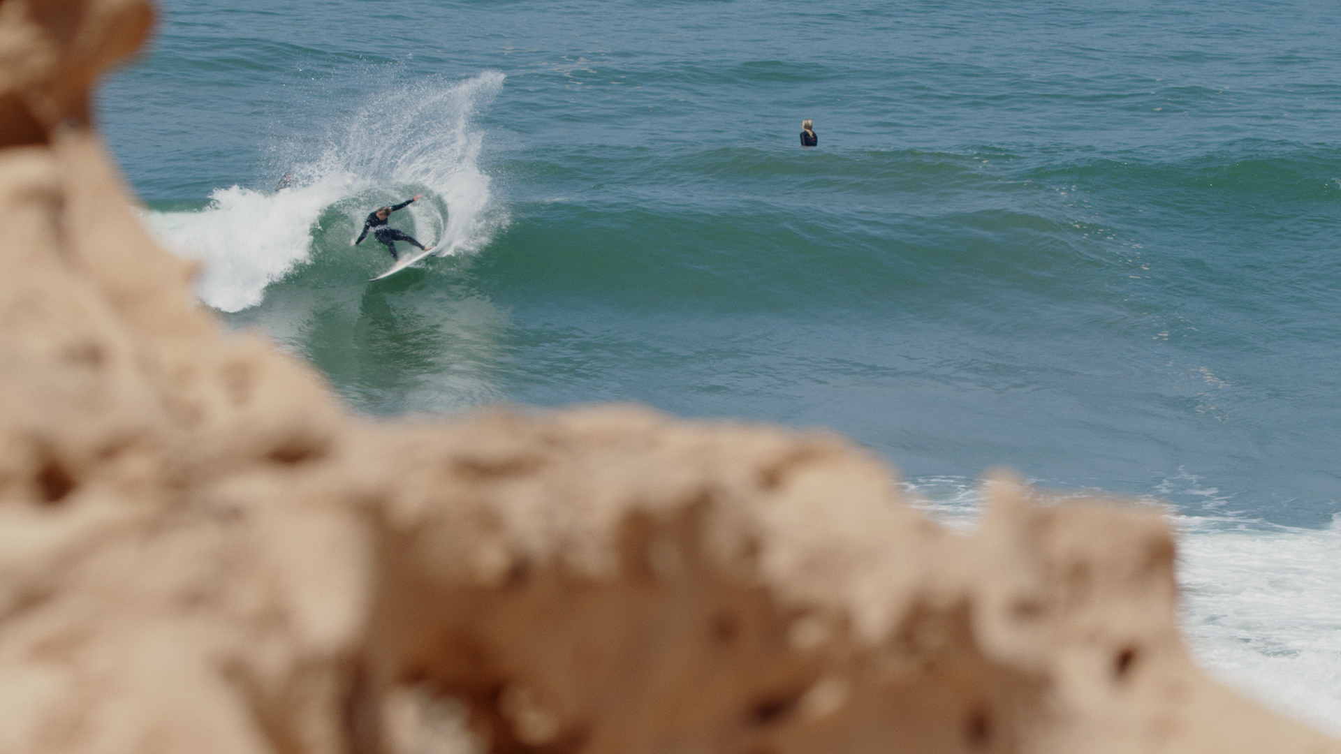 Did You Hear The Falling Rose? — Wasted Talent Magazine